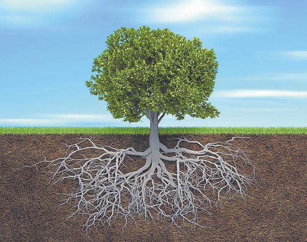 The futile ways of your forefathers