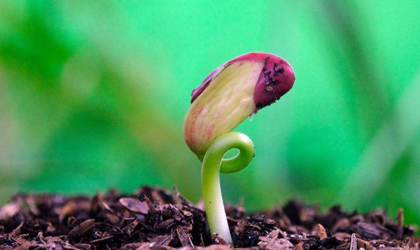 Rolfe Barnard: 1904-1969