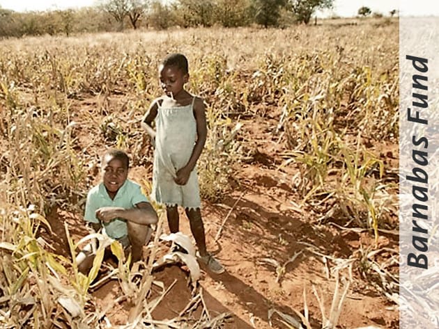 International – Zimbabwe’s drought