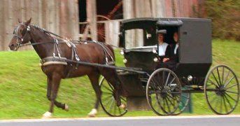 The Amish tragedy
